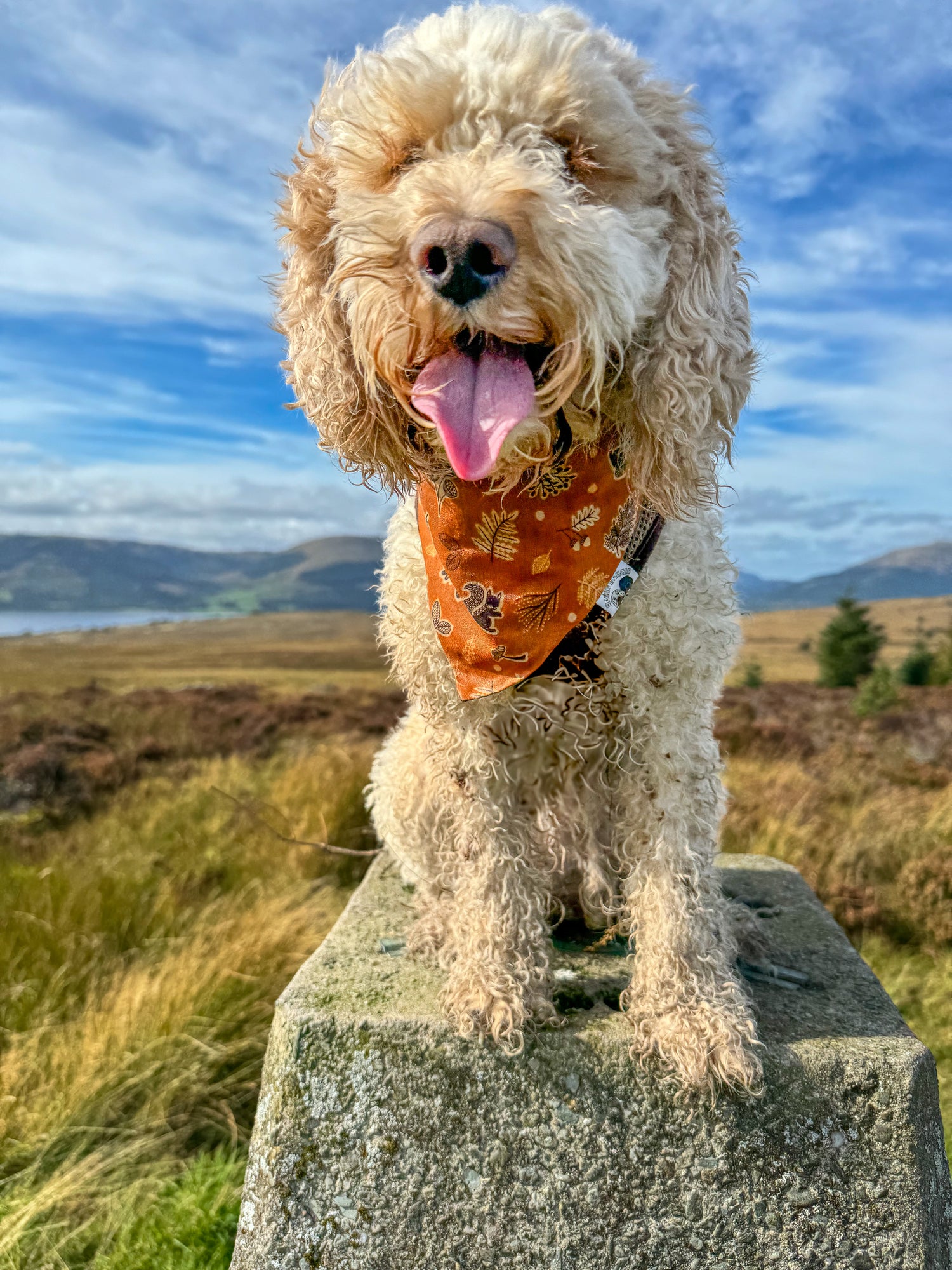 Hairy Haggis